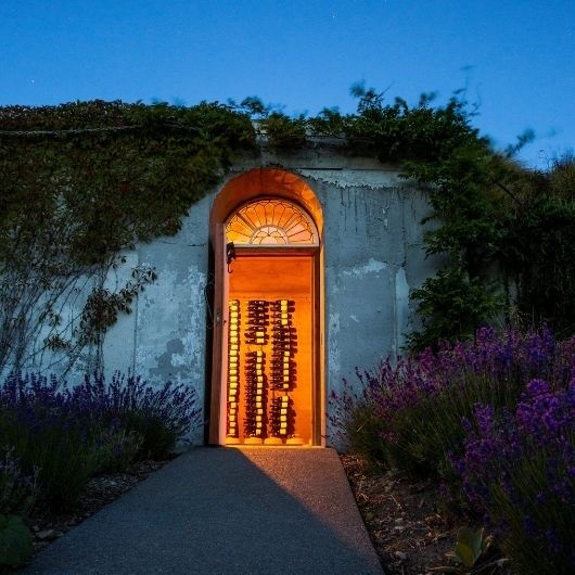 Stargazing - Mt Cook Lakeside Retreat